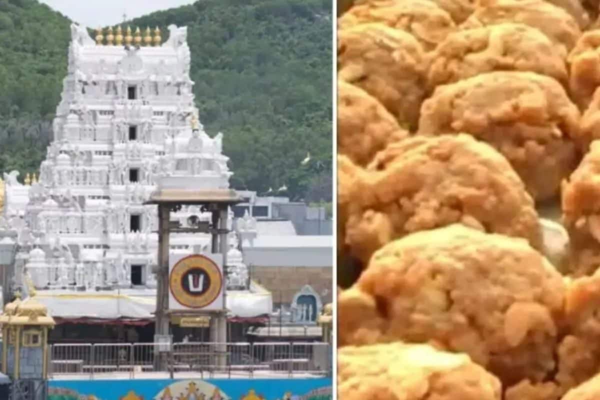 All About The Famous Laadus Prasadam At Tirumala's Sri Venkateswara ...